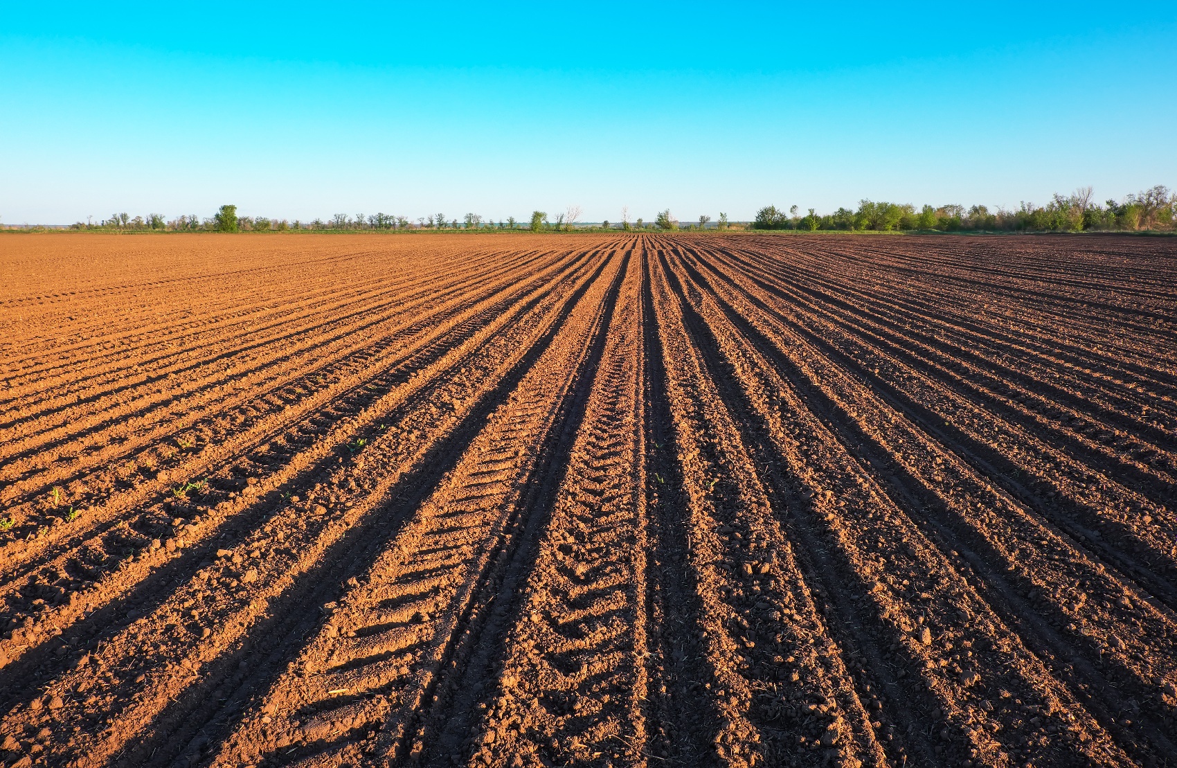 How to Minimize Soil Moisture Loss During Winter How to Minimize Soil Moisture Loss During Winter
